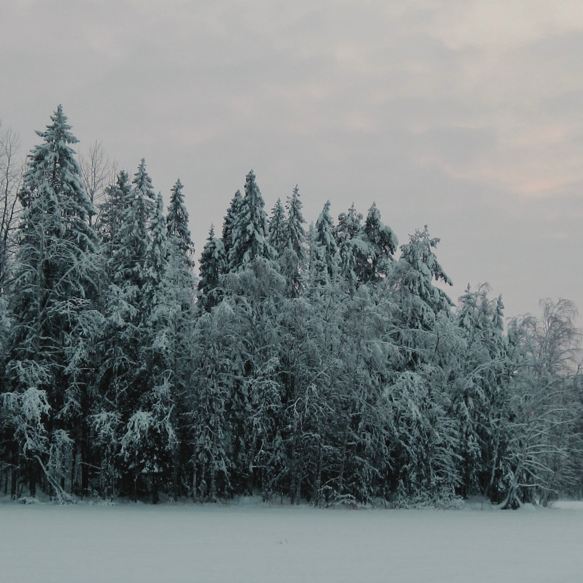 Dachzelt im Winter: Tipps für warmes & sicheres Camping im Schnee ...