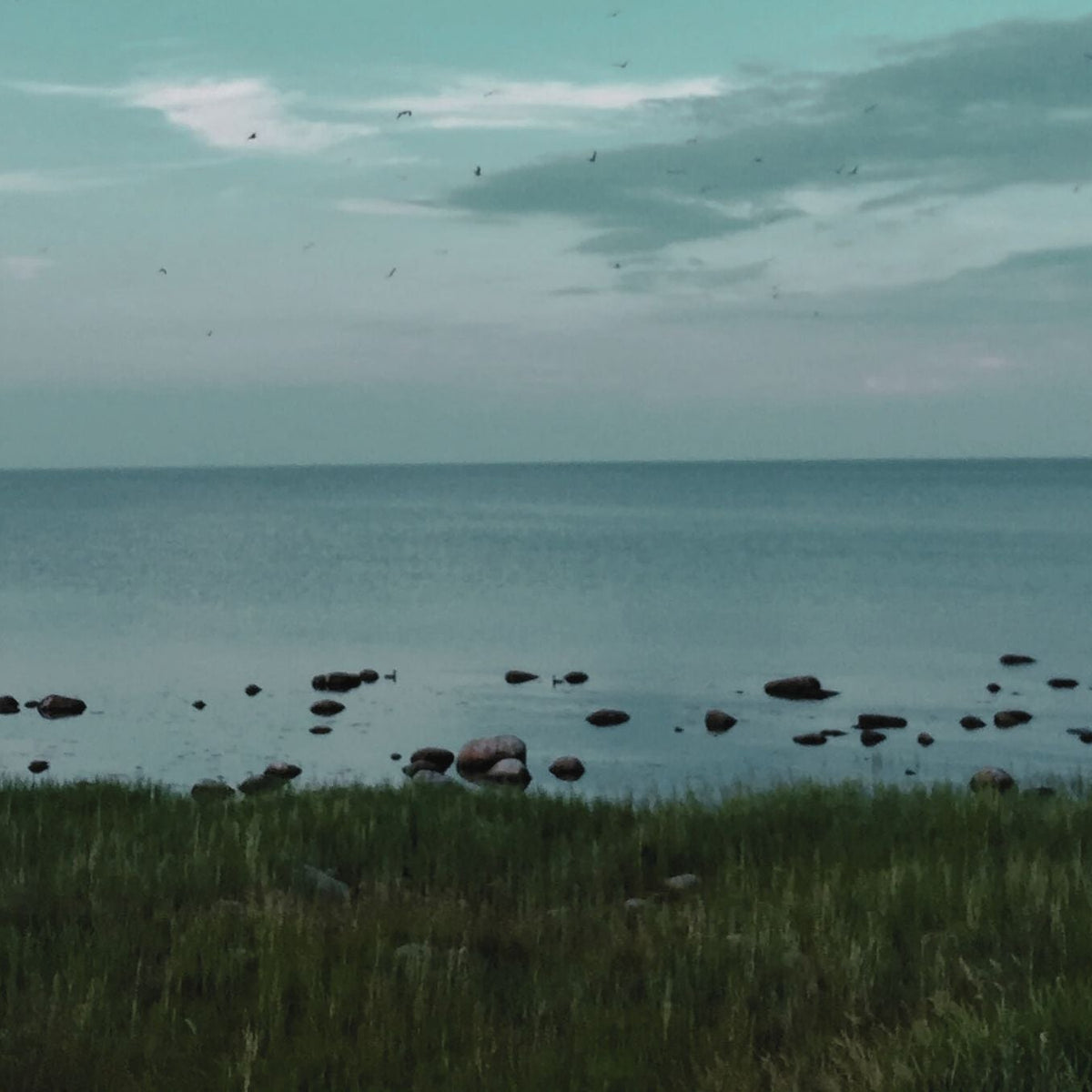 Erste Nacht im Dachzelt – Tipps für ein unvergessliches Erlebnis ...